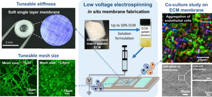 Publications | Lei Lab – Faculty of Science and Technology
