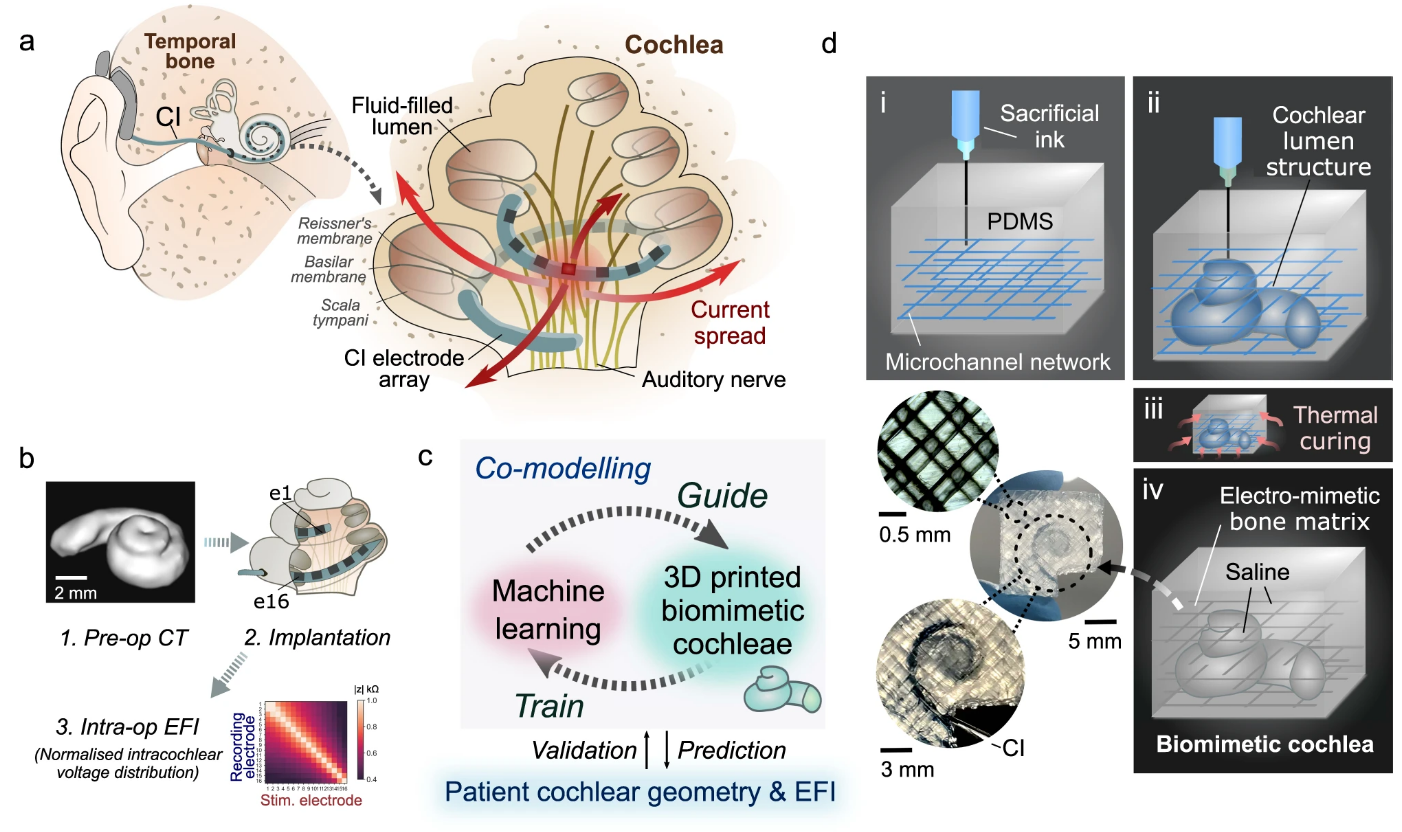 Publications | Lei Lab – Faculty of Science and Technology