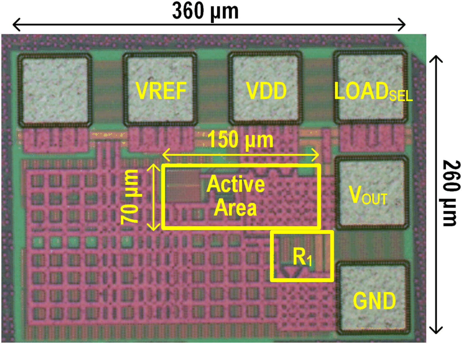 Chip Gallery – Faculty of Science and Technology