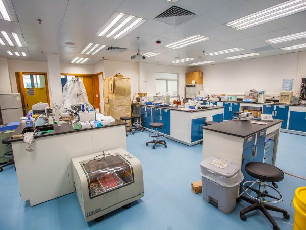 Laboratories and Facilities – Faculty of Science and Technology ...