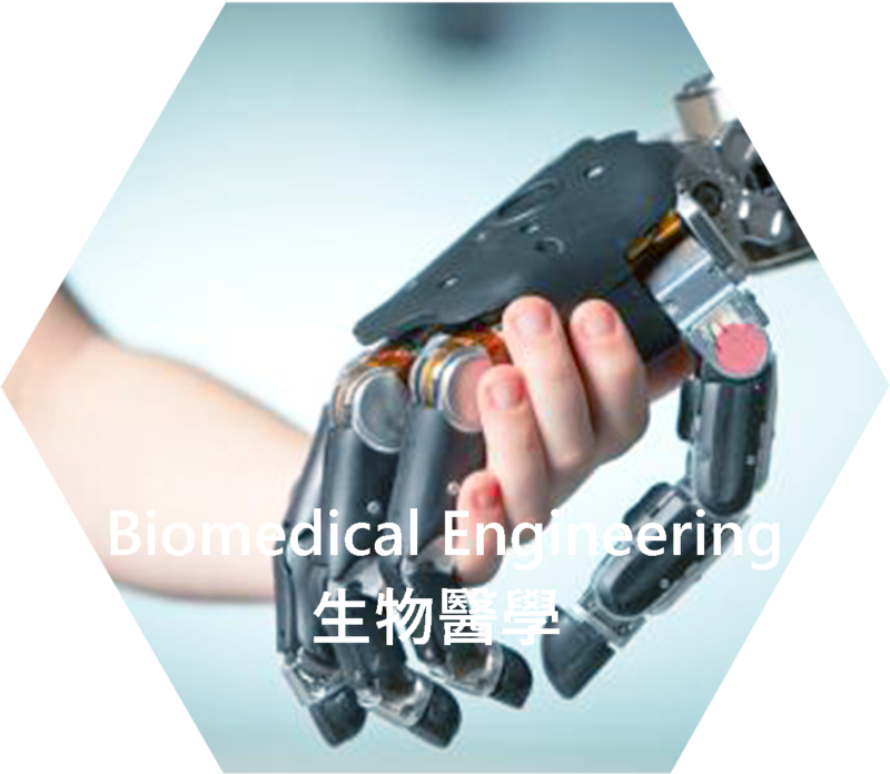 Biomedical Engineering – Faculty of Science and Technology | University ...