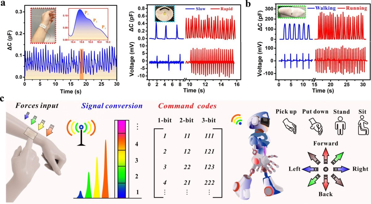 UM develops self-powered wearable tactile sensor based on bio-inspired ...
