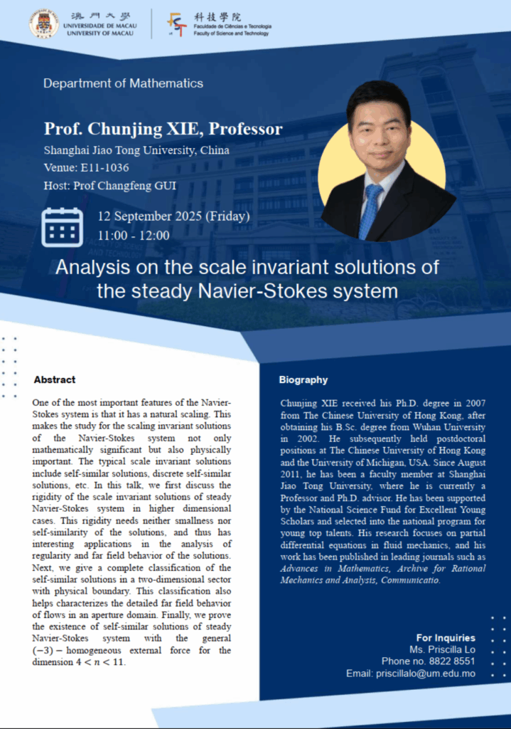 Analysis on the scale invariant solutions of the steady Navier-Stokes system – Faculty of ...